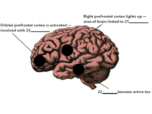 IELTS Reading Practice Test 1 Printable - EngExam.info