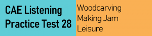 CAE Listening Practice Test 28 - EngExam.info