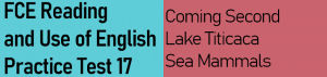 FCE Reading and Use of English Practice Test 17 - EngExam.info